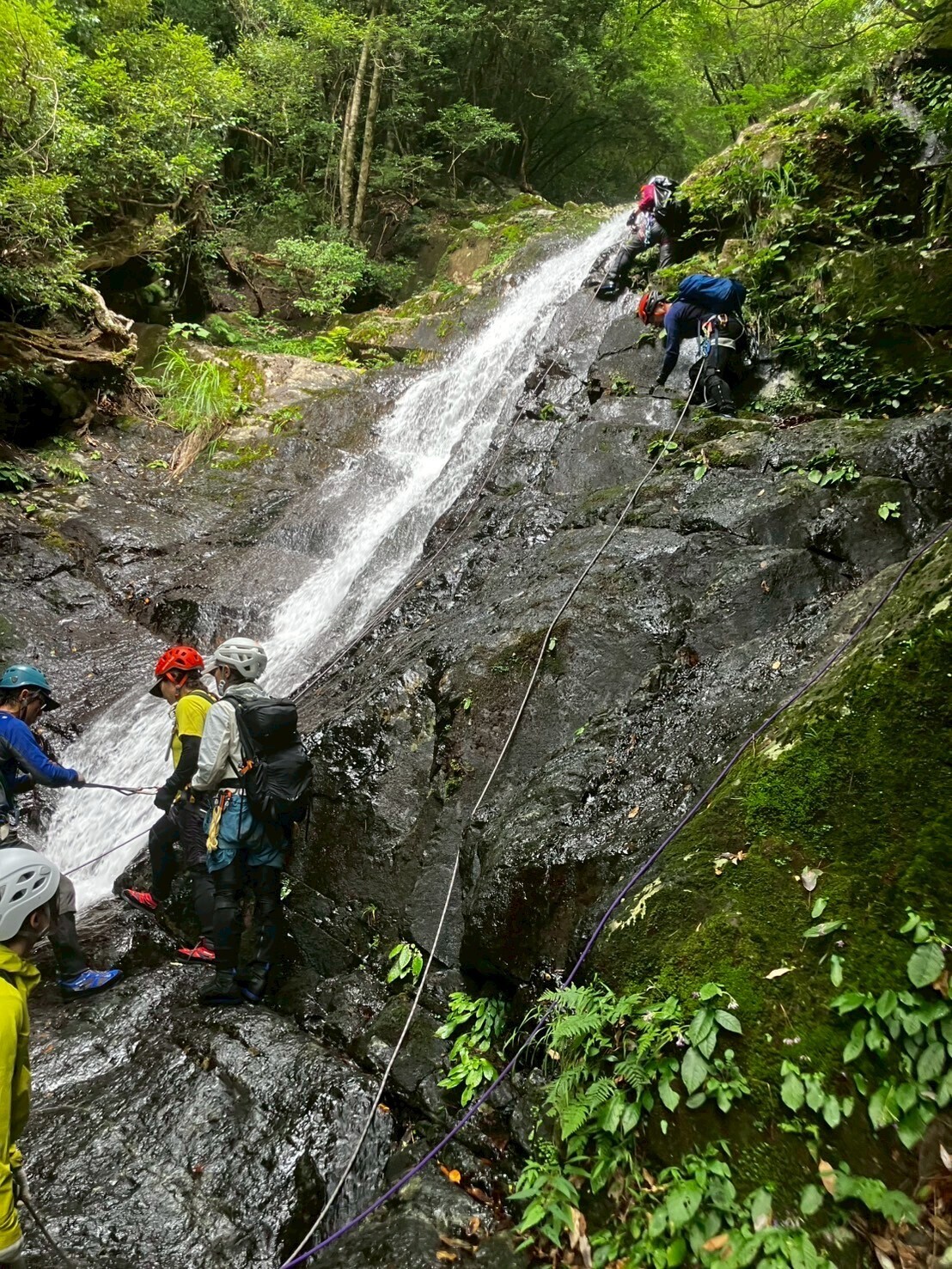 【令和7年8月レベルアップ定例山行】黒原谷（大分県山岳連盟沢登り研修会）: 大分緑山岳会ブログ